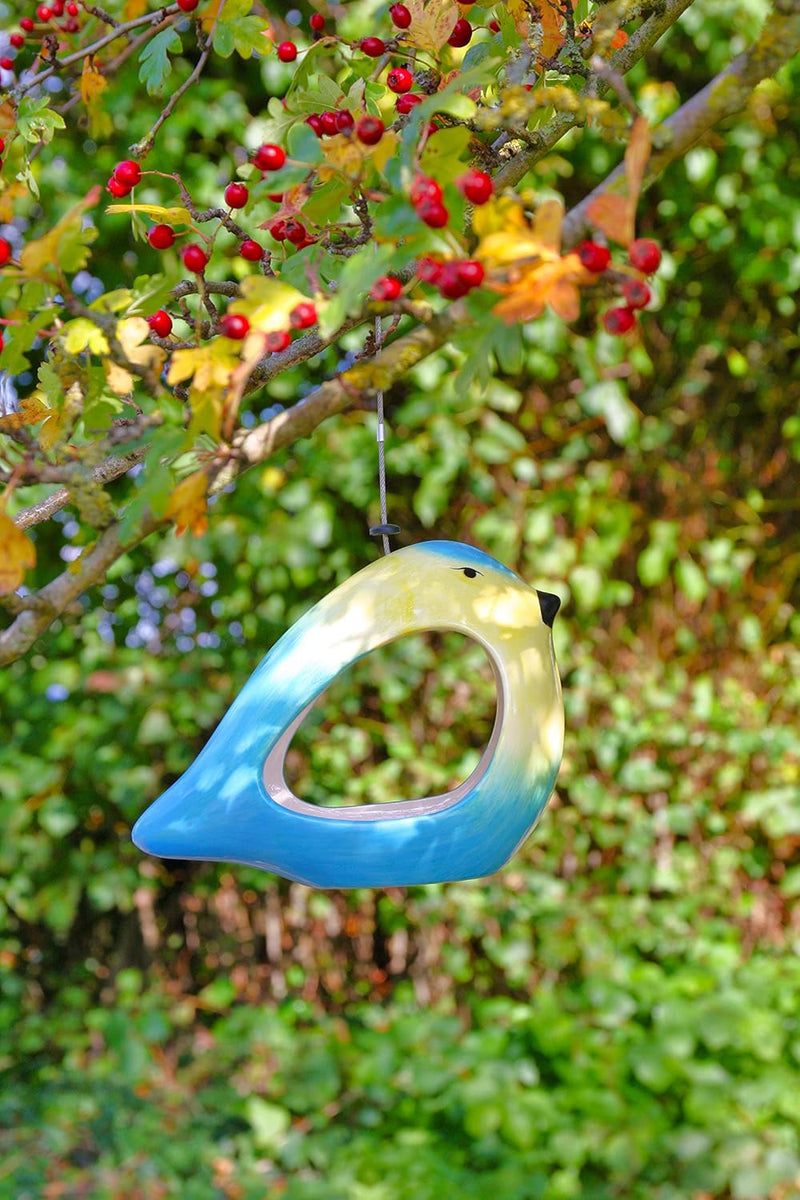 Wildlife World - Ceramic Blue Bird Feeder - Hi-Fire Ceramic - Steel Ha ...