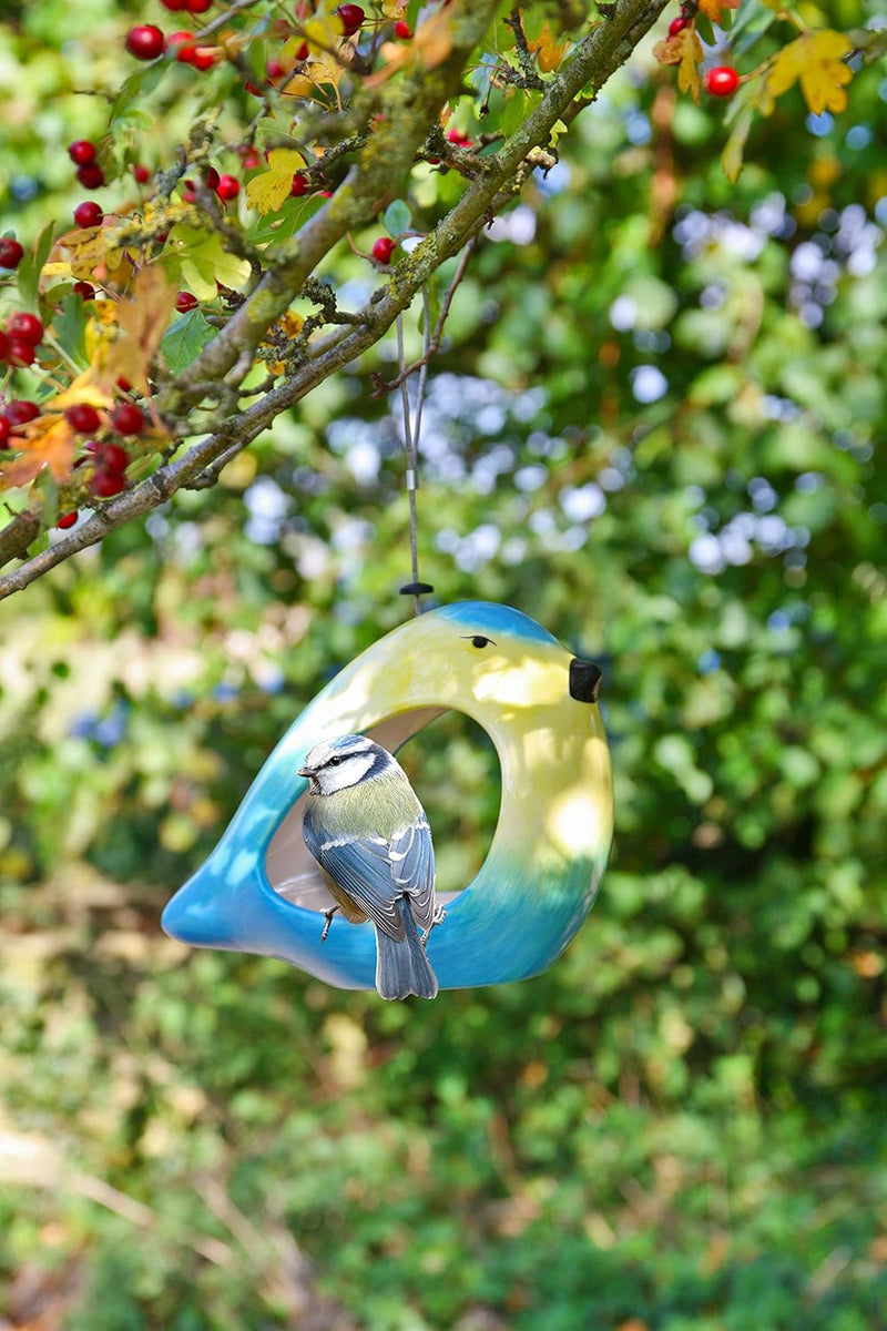 Wildlife World - Ceramic Blue Bird Feeder - Hi-Fire Ceramic - Steel Ha ...